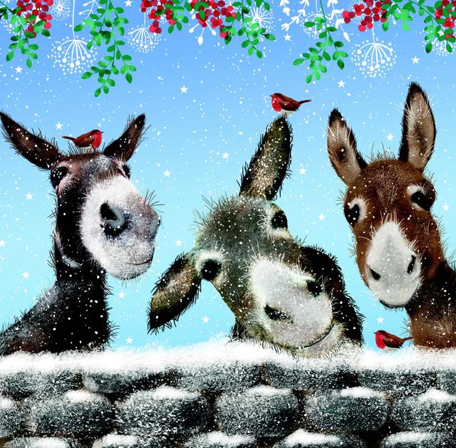 Online Shop - Calibre Audio