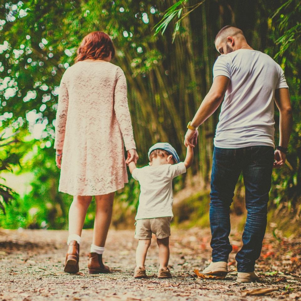 Catalogues - Calibre Audio